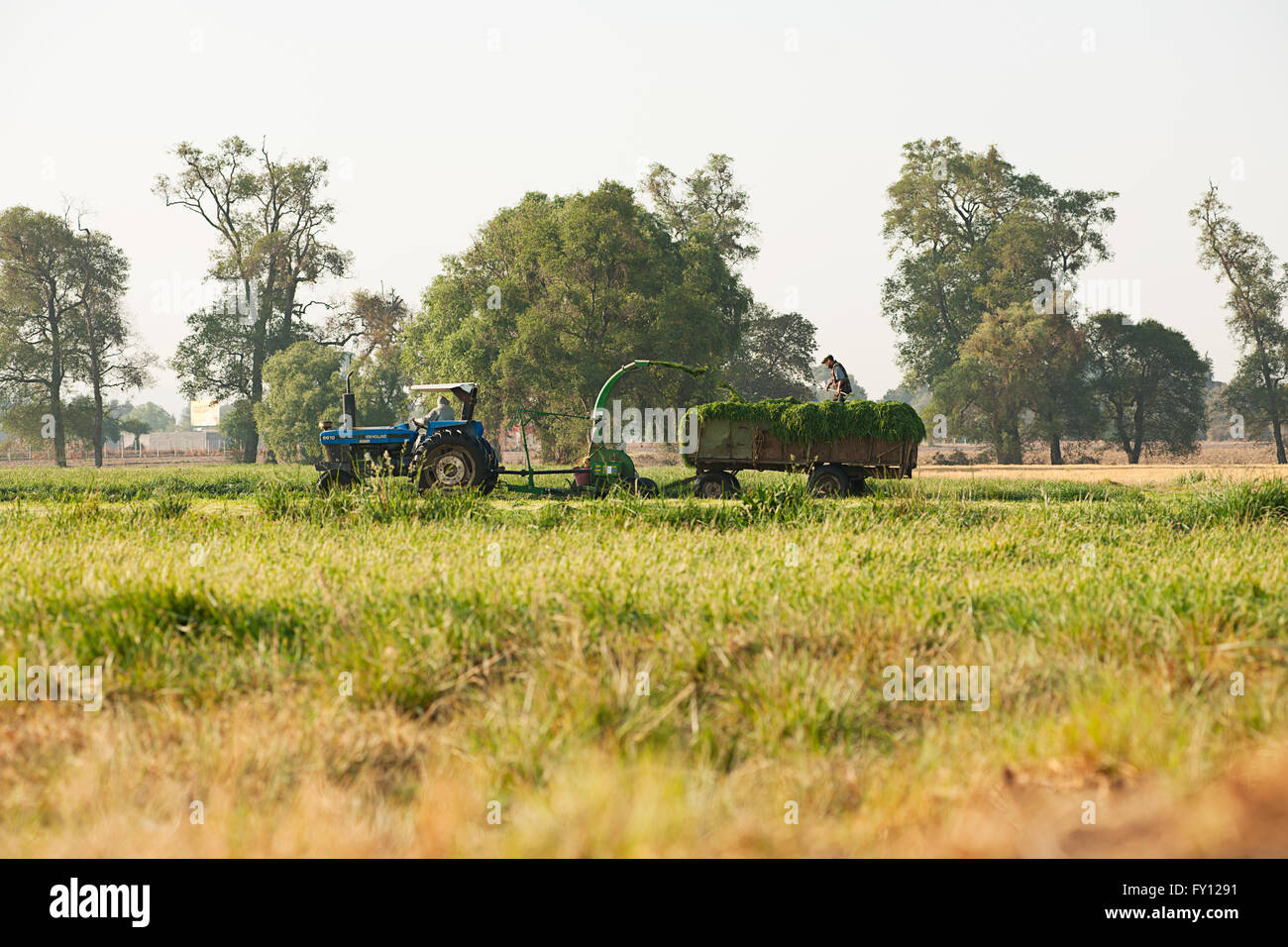 Dry land tractor lines hi-res stock photography and images - Alamy