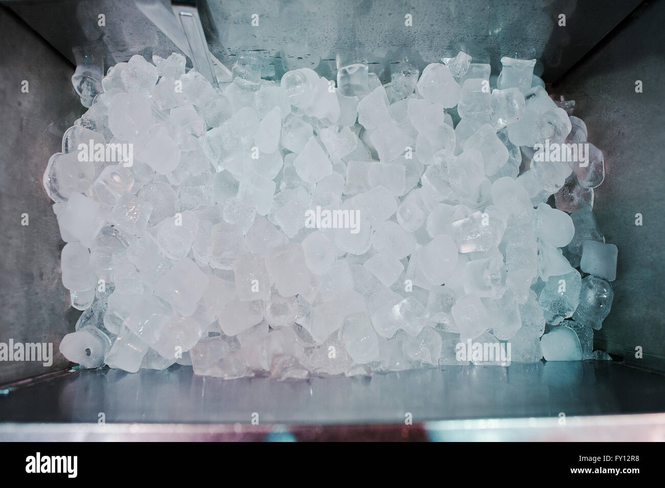 Many ice cubes on fridge at the bar Stock Photo - Alamy