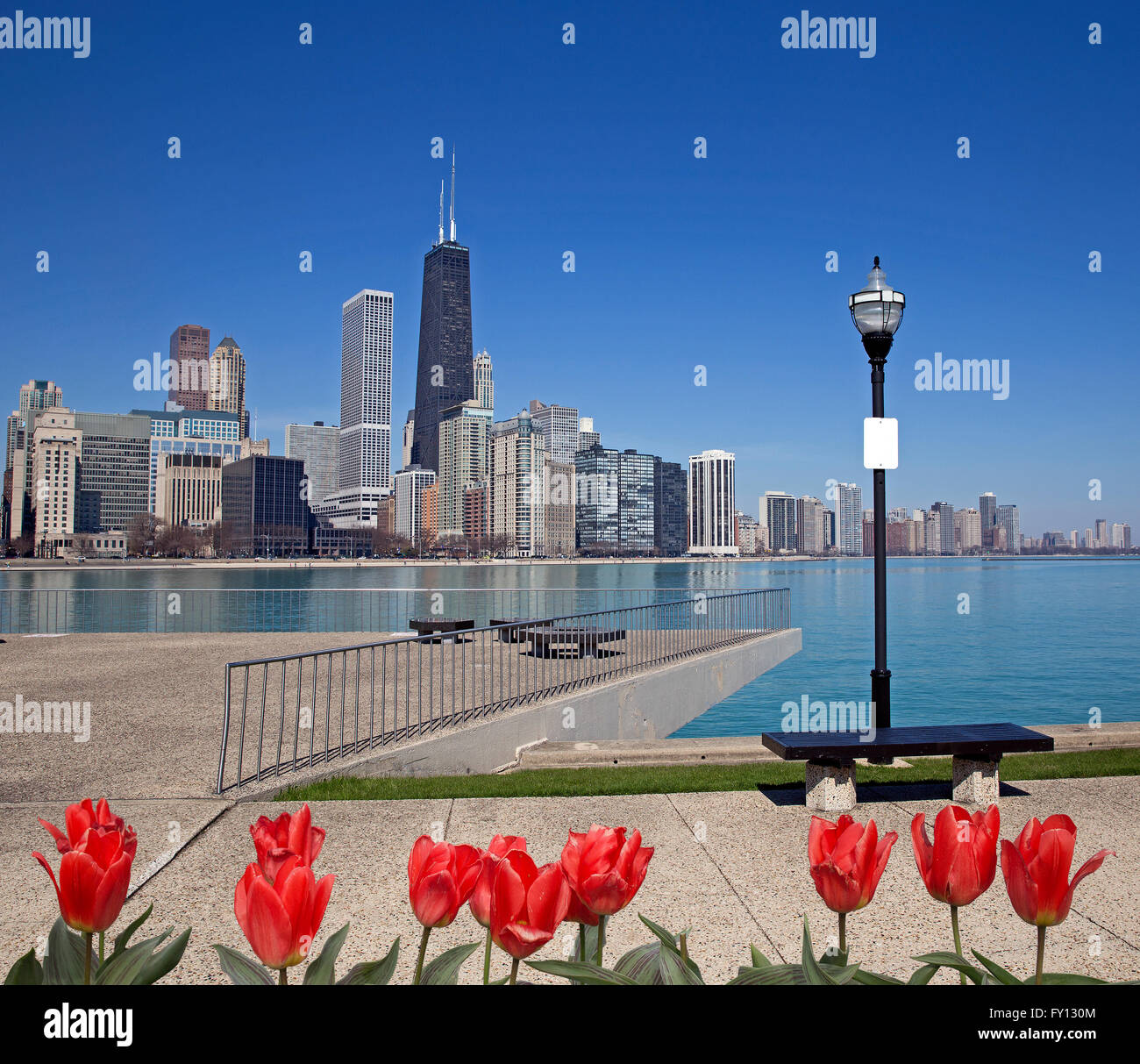 Chicago skyline flowers hi-res stock photography and images - Alamy
