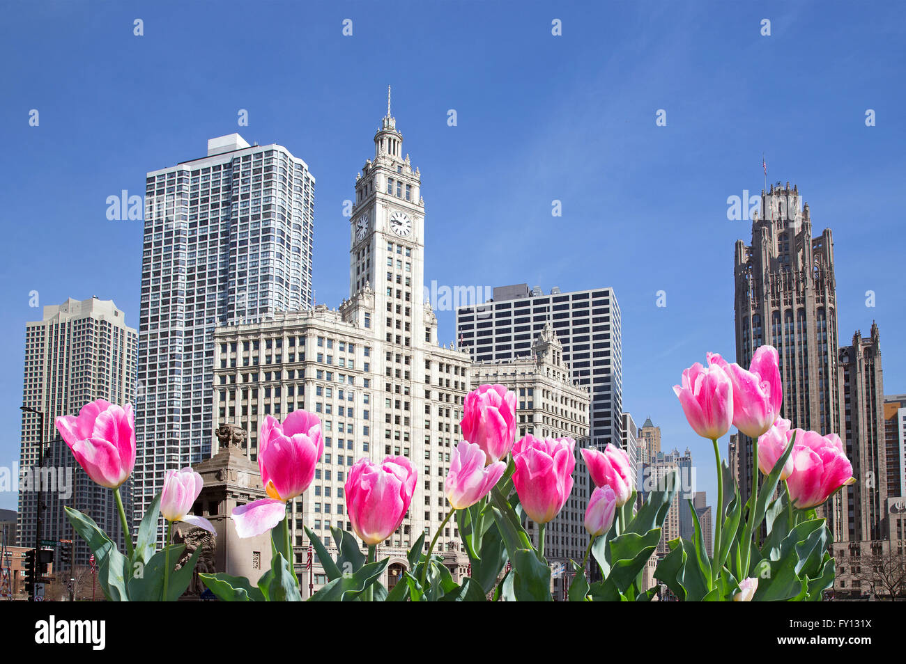 Spring in Chicago Stock Photo - Alamy