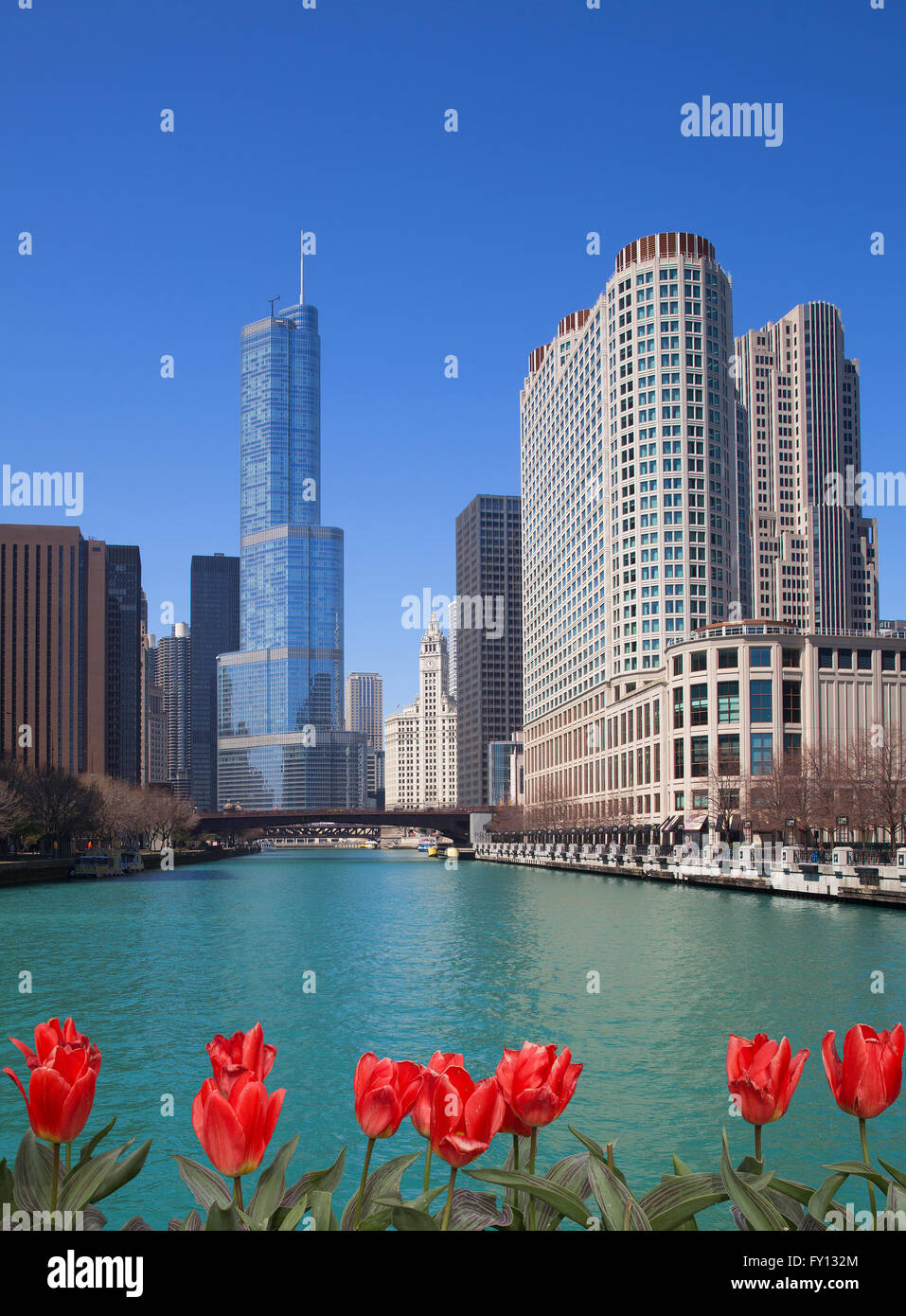 Chicago skyline flowers hi-res stock photography and images - Alamy
