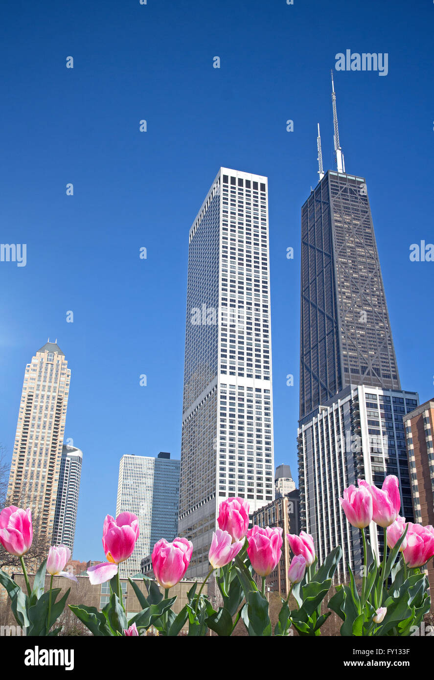 Chicago skyline flowers hi-res stock photography and images - Alamy