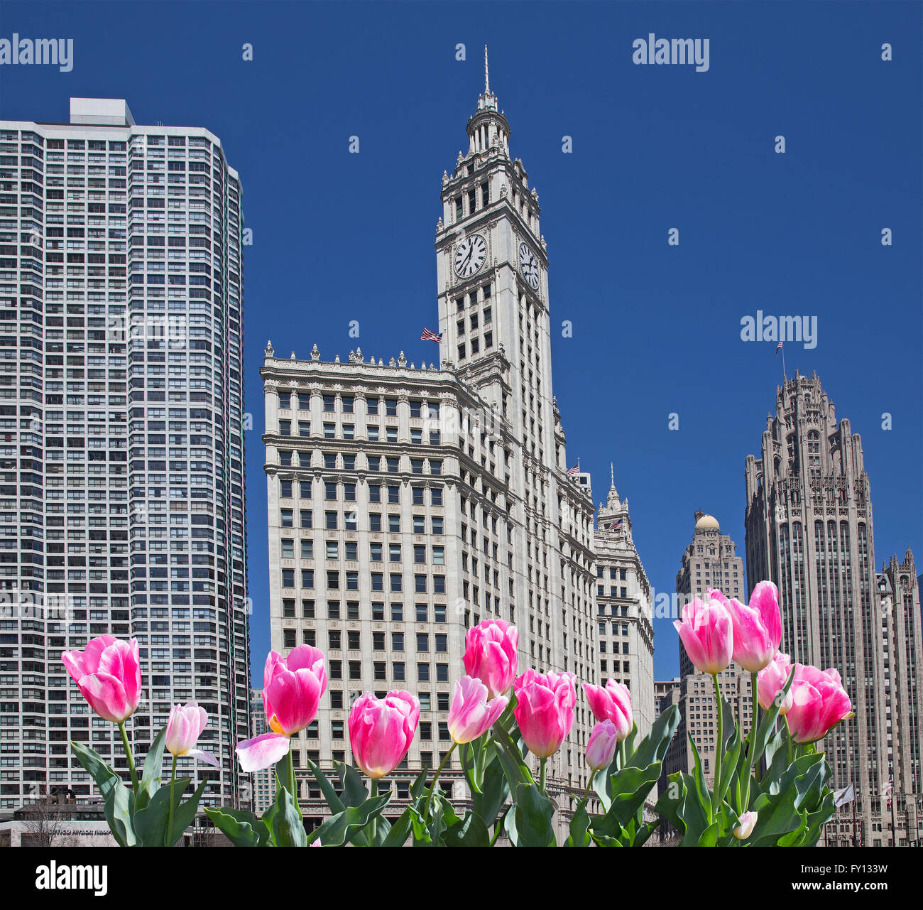 Chicago skyline flowers hi-res stock photography and images - Alamy