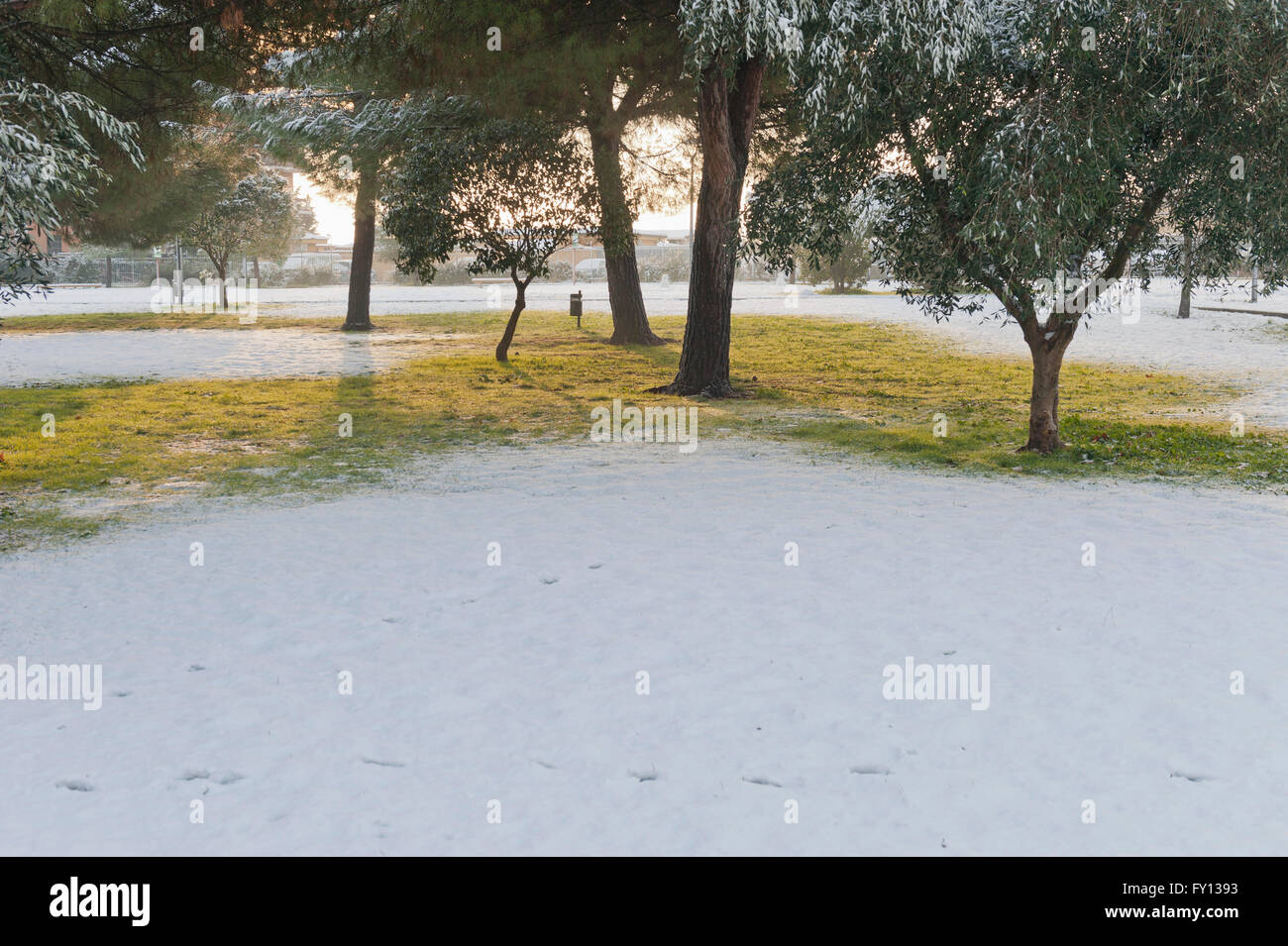 Trees in the field covered in snow hi-res stock photography and images ...