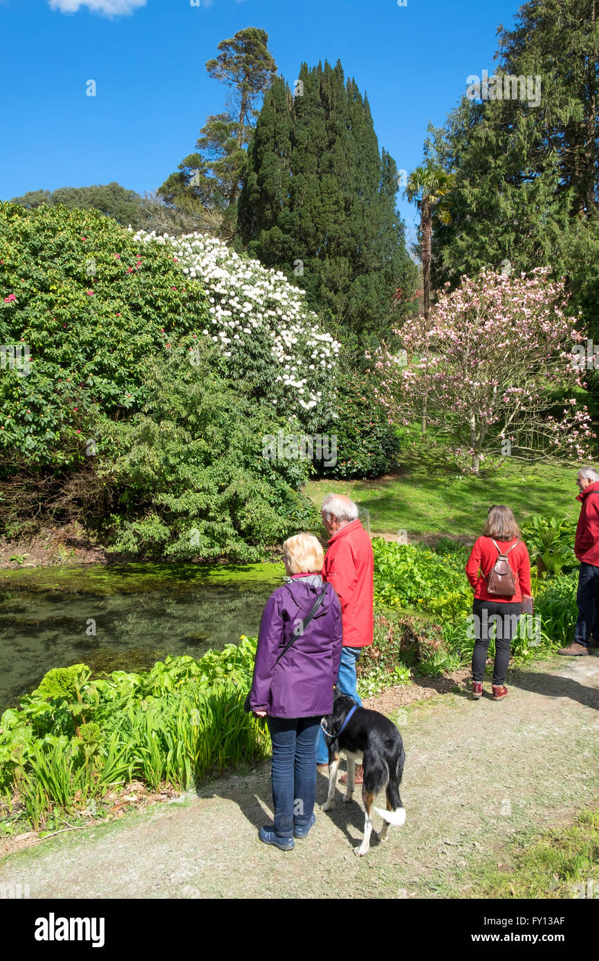 Visitors admiring the view in the gardens at Tregothnan estate near ...