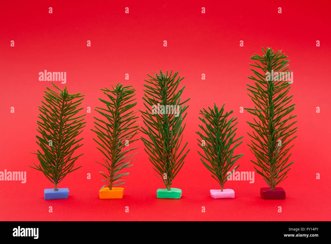 Variety of small Christmas trees on red background Stock Photo - Alamy