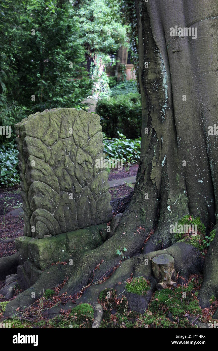 Tombstone devoured and overgrown by a tree on the old cemetary in ...