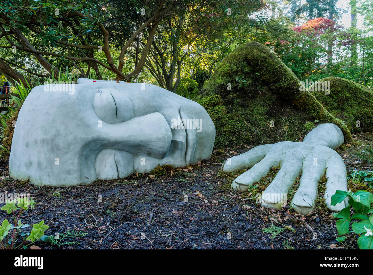 Moss Lady High Resolution Stock Photography and Images - Alamy