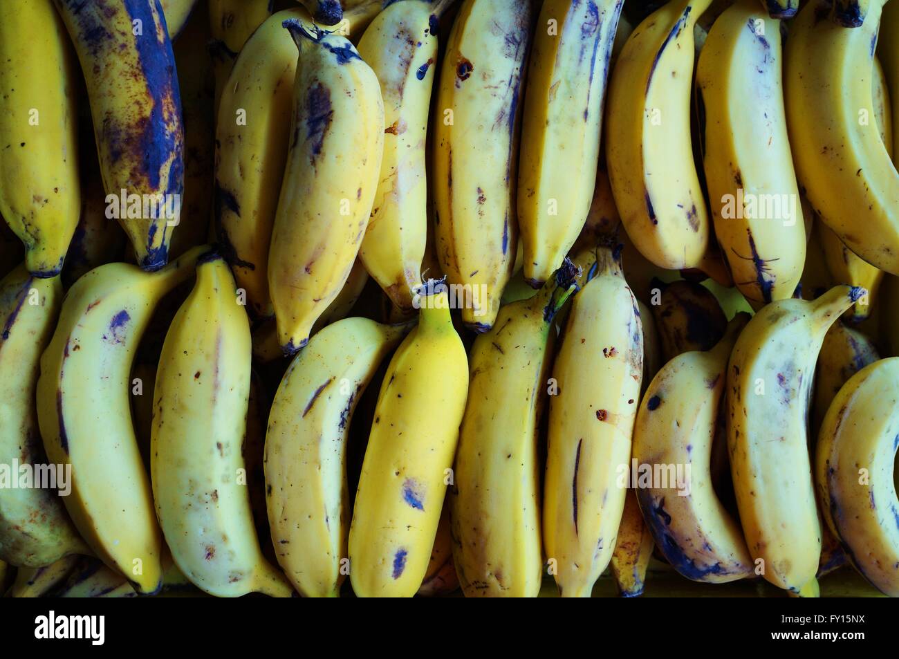 Small bananas at a fruit stand in Hawaii Stock Photo - Alamy