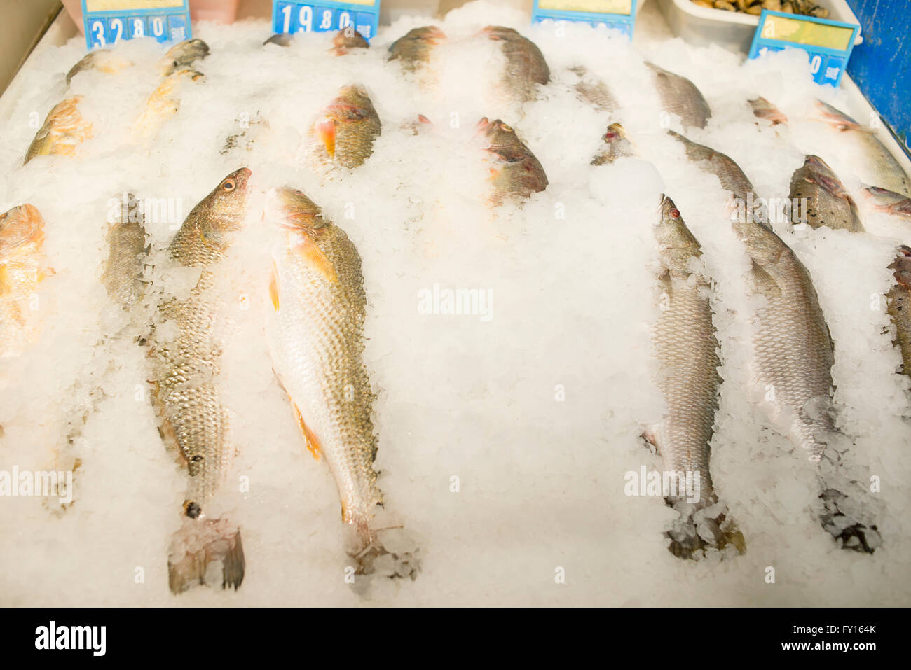 Fresh fish on ice decorated hi-res stock photography and images - Alamy