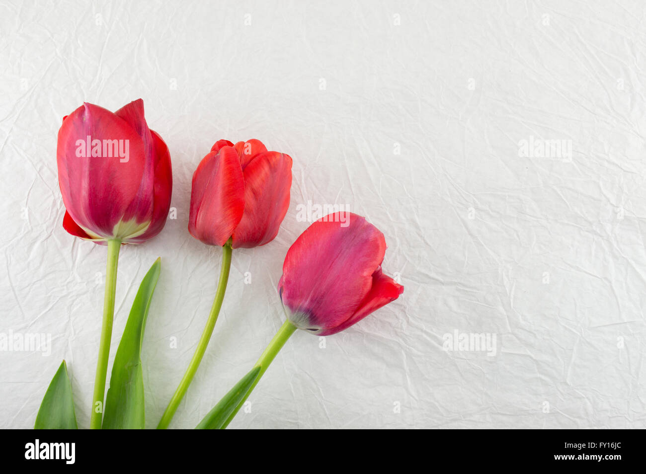 Beautiful bouquet red tulips hi-res stock photography and images - Alamy