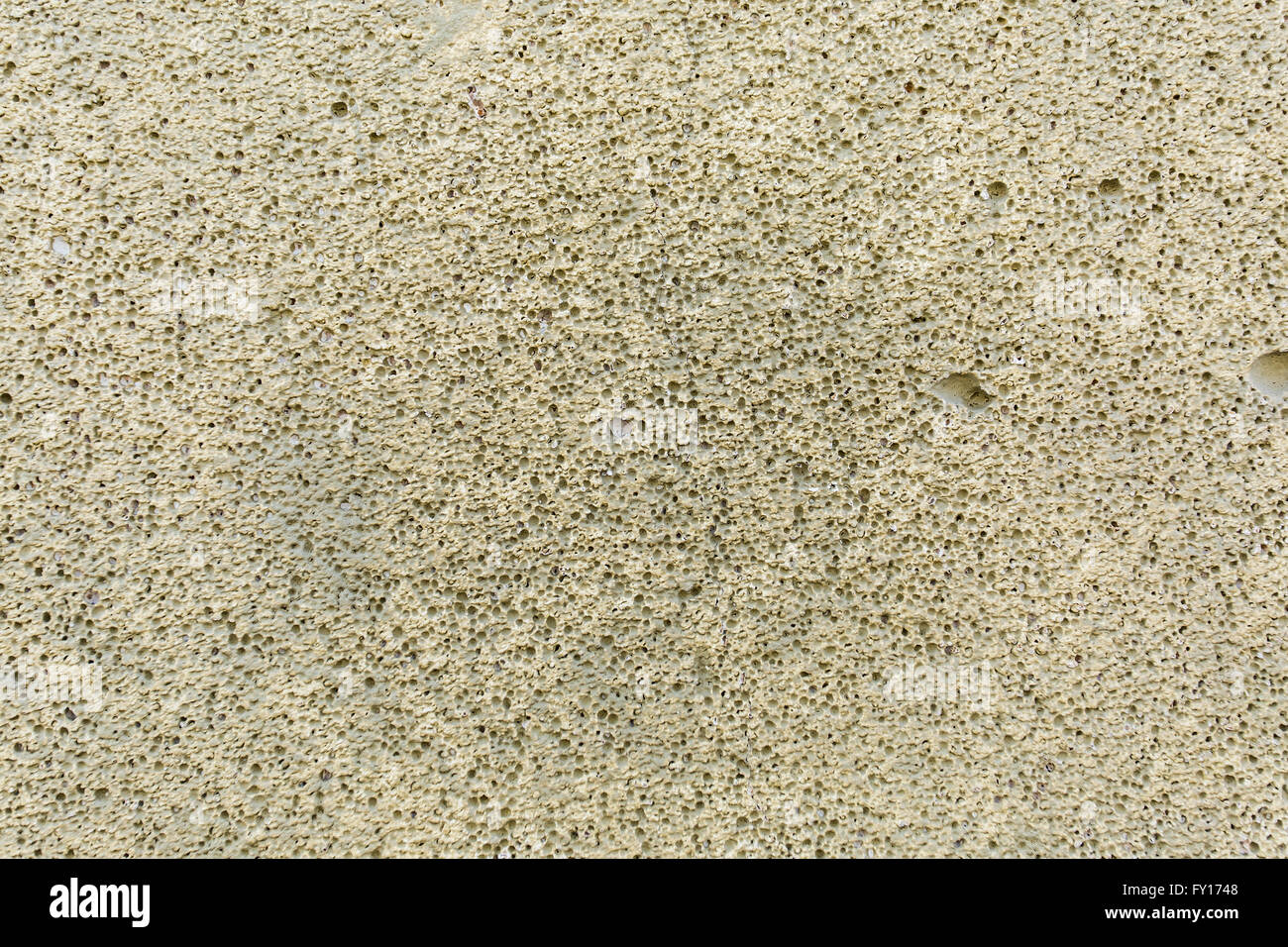 Texture of aerated concrete wall. Closeup Stock Photo - Alamy