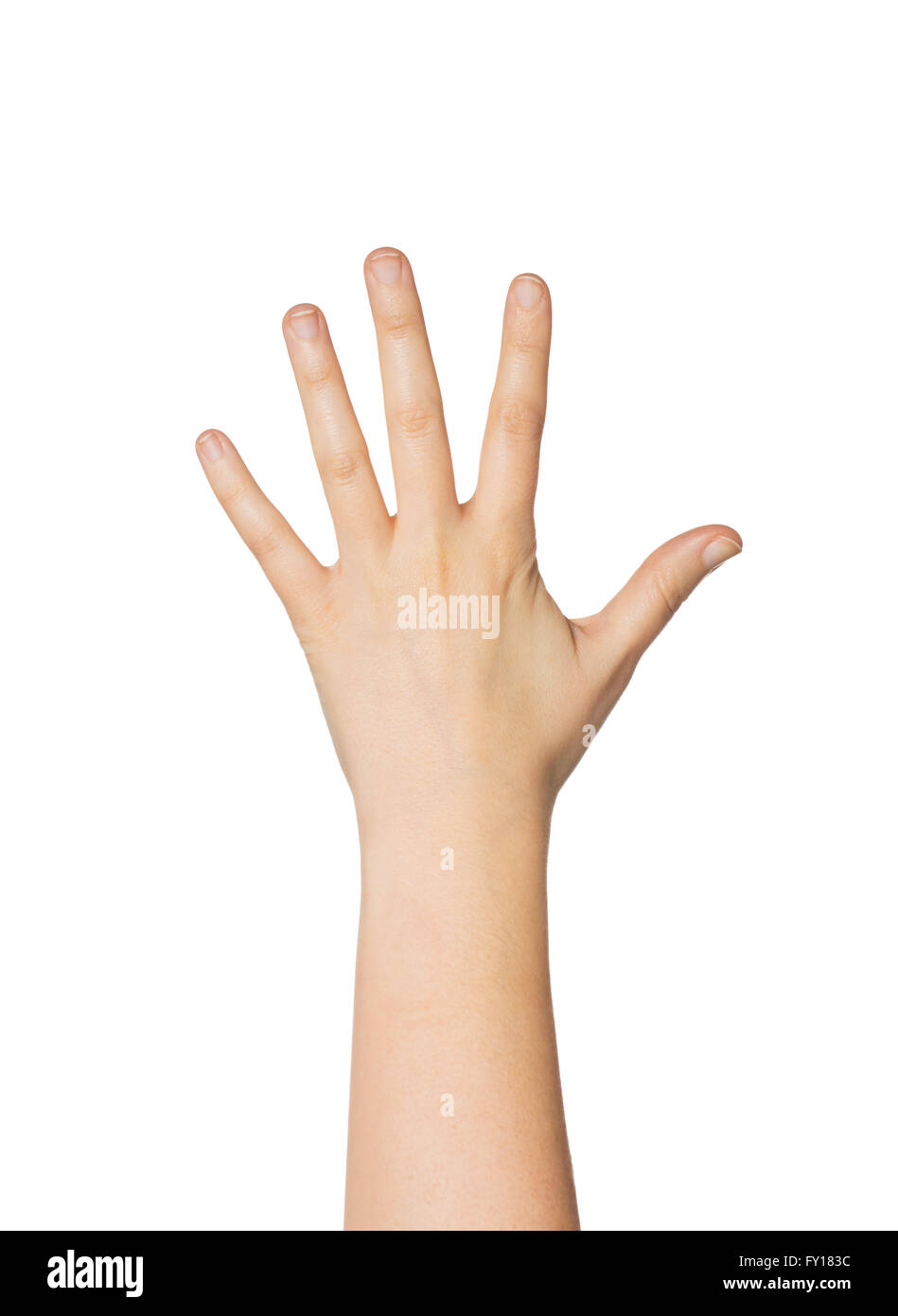 Open hand showing five fingers hi-res stock photography and images - Alamy