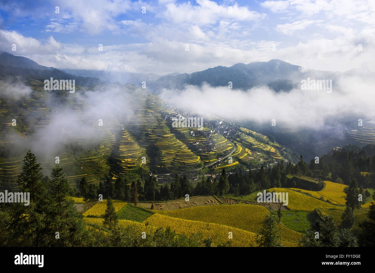 Miao Autonomous Prefecture South, Miao Autonomous Prefecture South, CHN ...