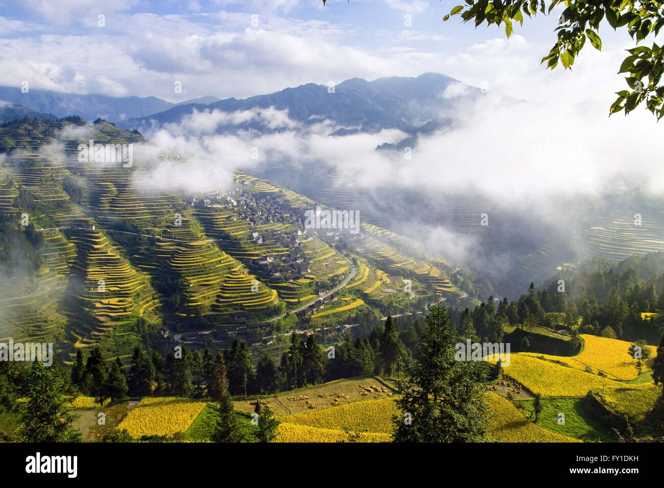 Miao Autonomous Prefecture South, Miao Autonomous Prefecture South, CHN ...