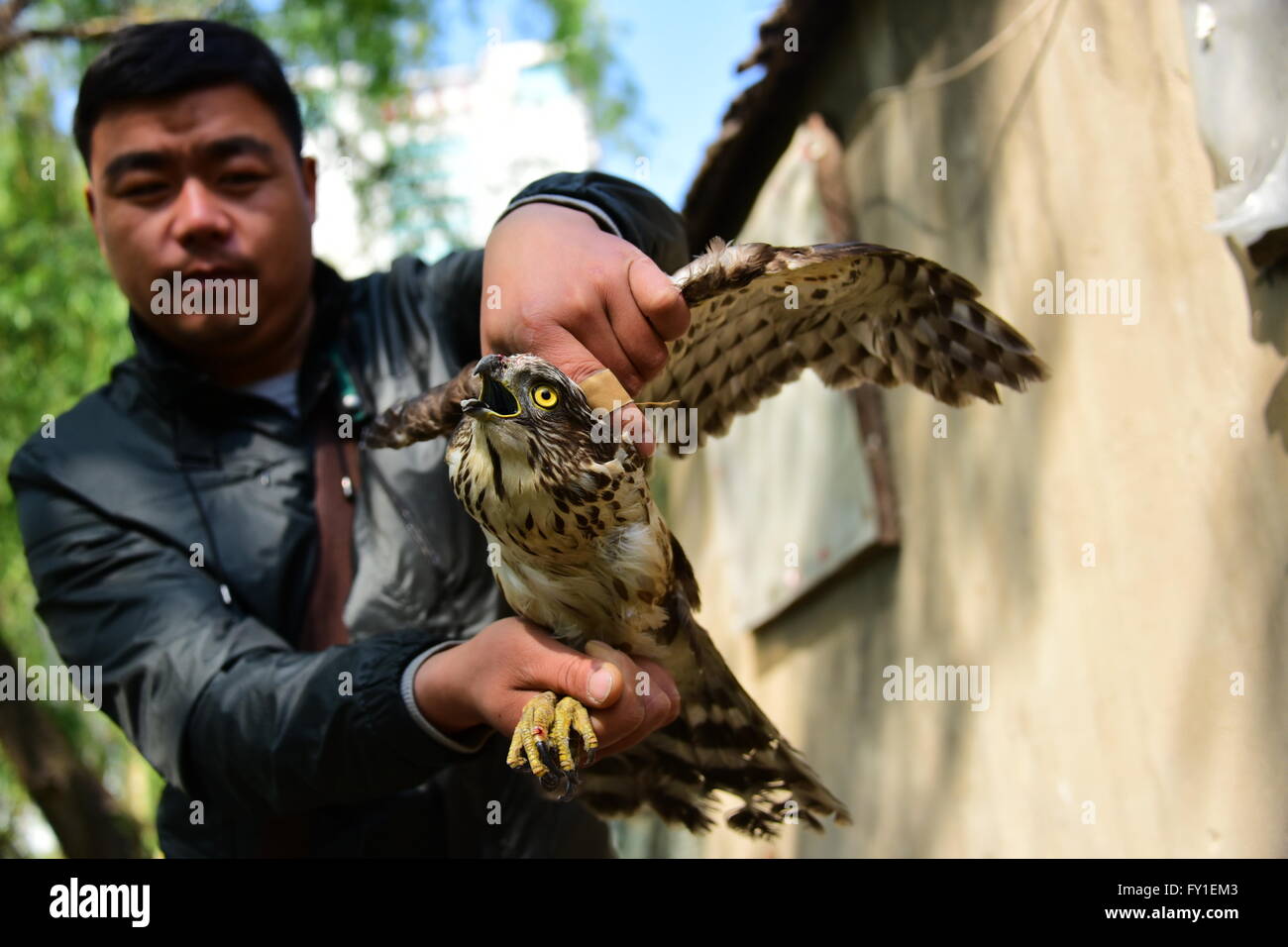 Big bird in china hi-res stock photography and images - Alamy