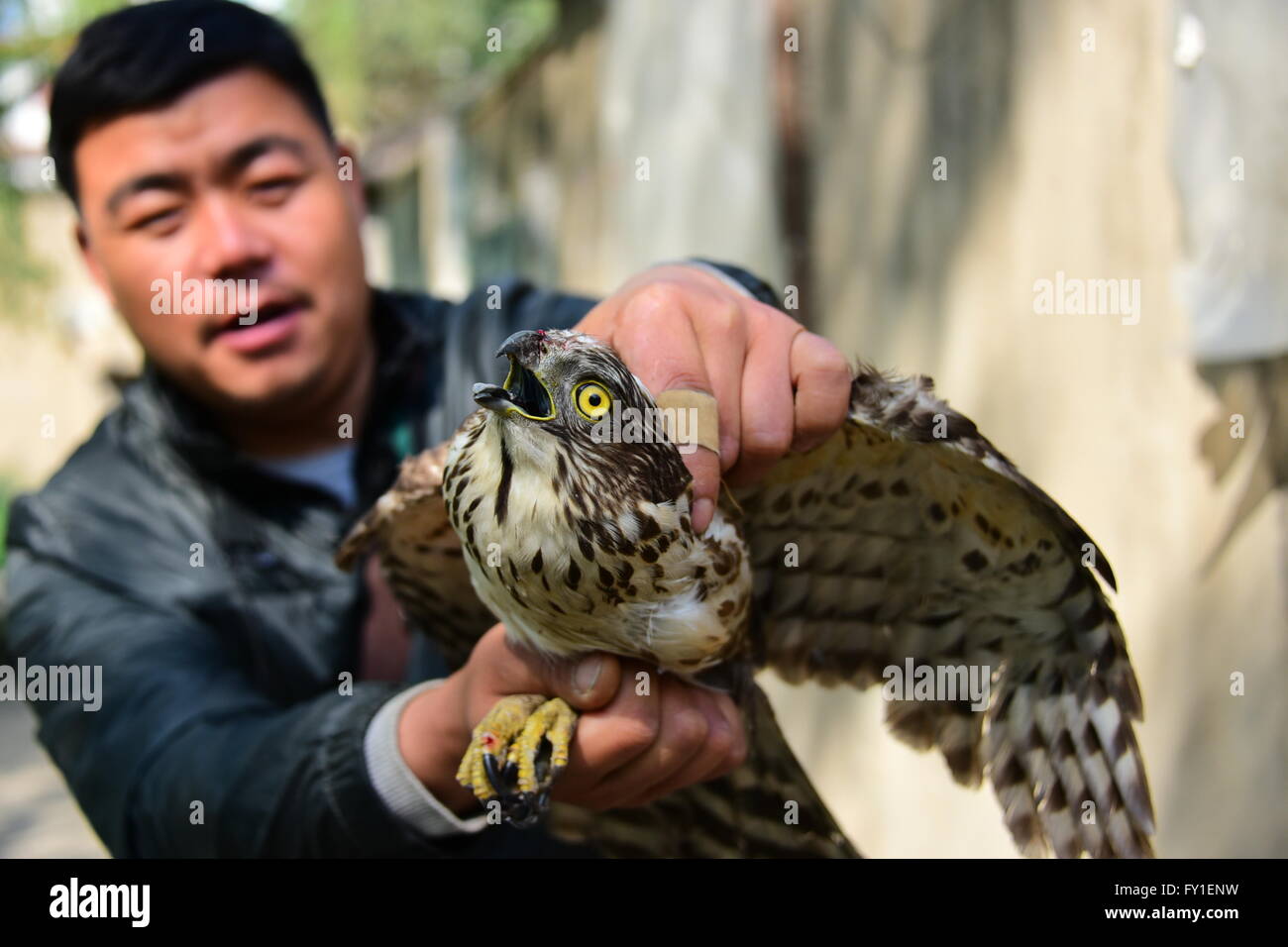 Big bird in china hi-res stock photography and images - Alamy