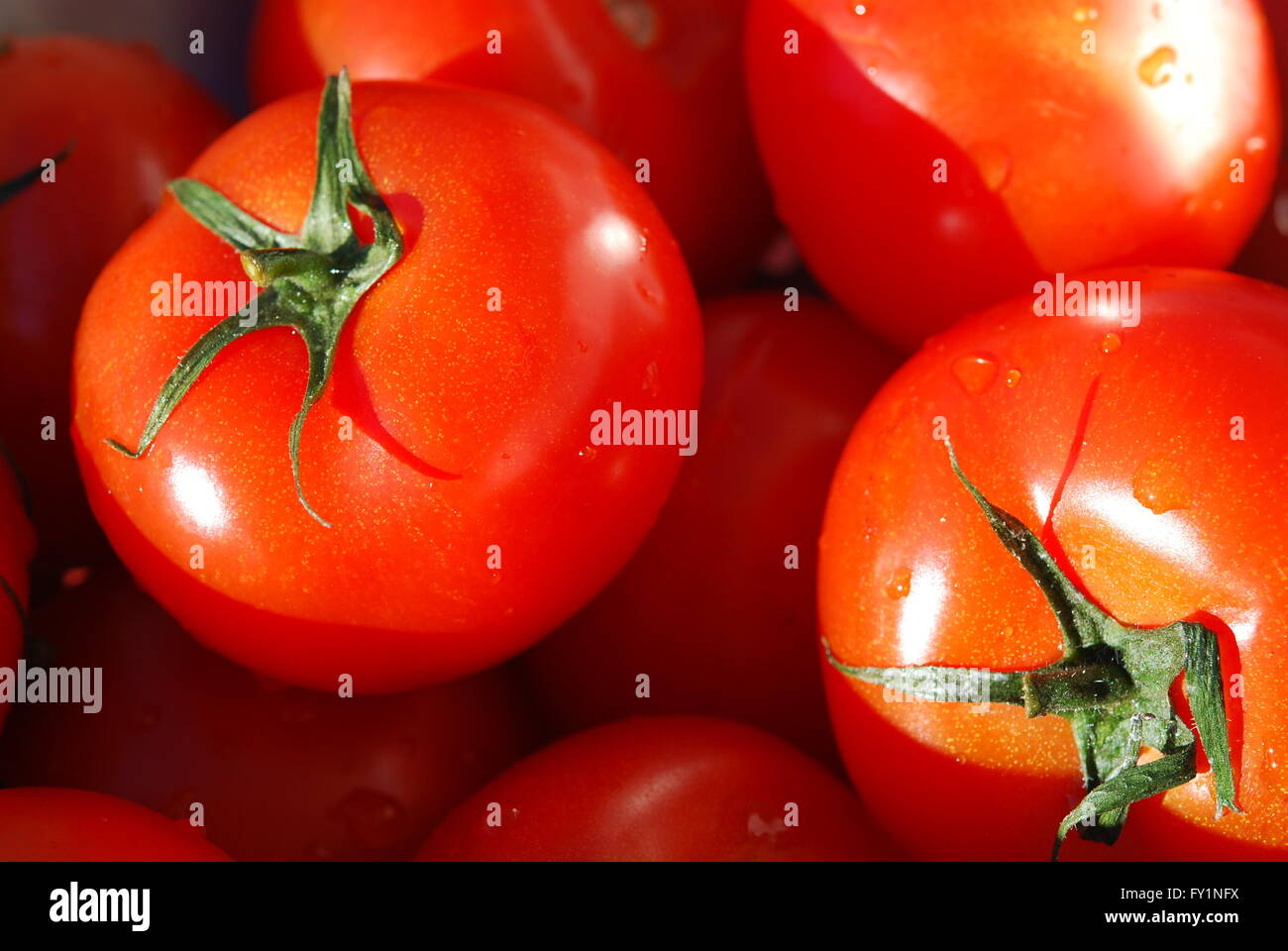 Tomatoes macro hi-res stock photography and images - Alamy