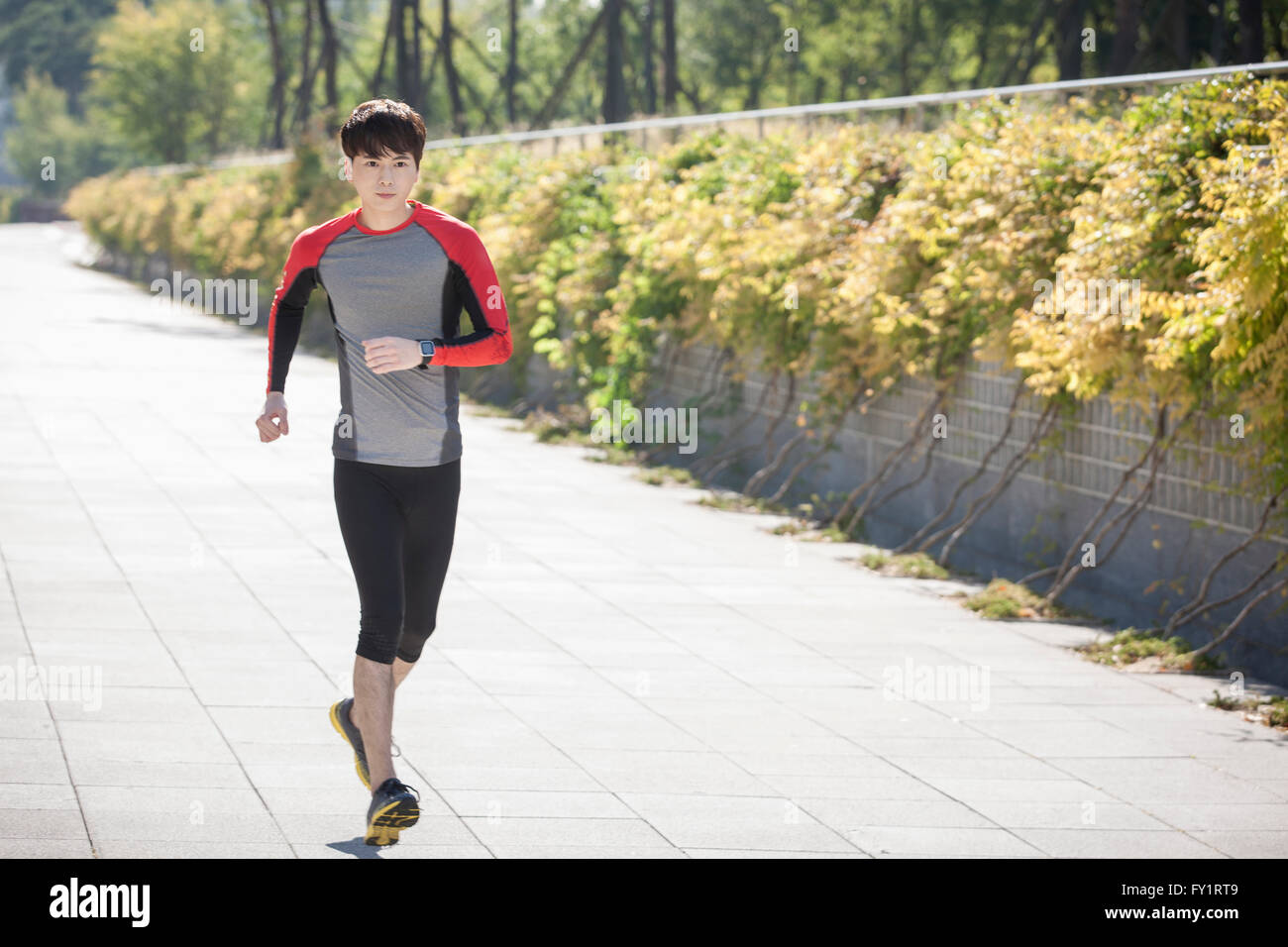 Young man running at park Stock Photo - Alamy
