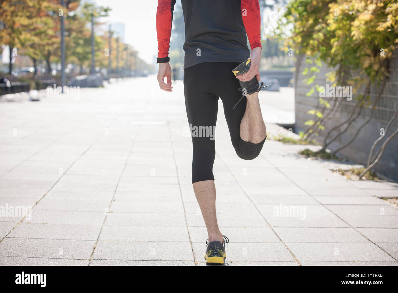 Back of man exercising at park Stock Photo - Alamy