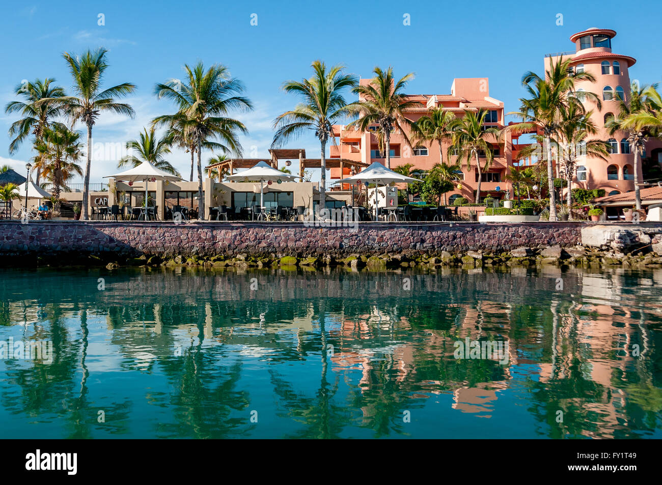 Palm trees in water reflection and cafe at Marina Cortez at La Paz ...