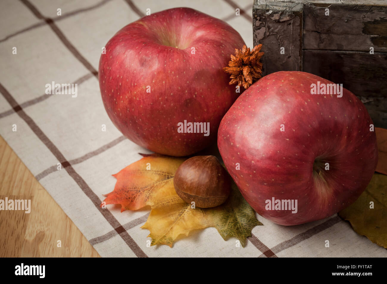 Fall nuts hi-res stock photography and images - Alamy