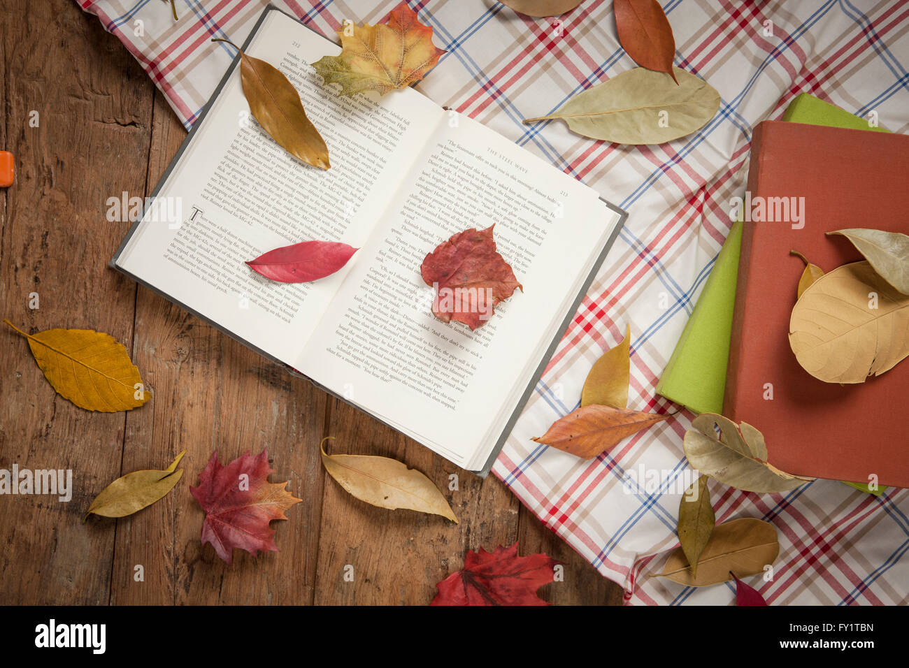 Books and fallen leaves on table cloth Stock Photo - Alamy