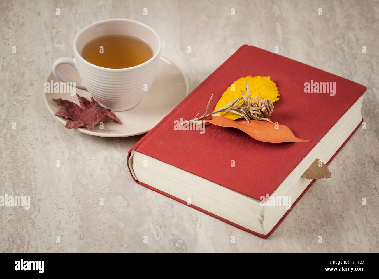 Book and a cup of tea with fallen leaves on floor Stock Photo - Alamy
