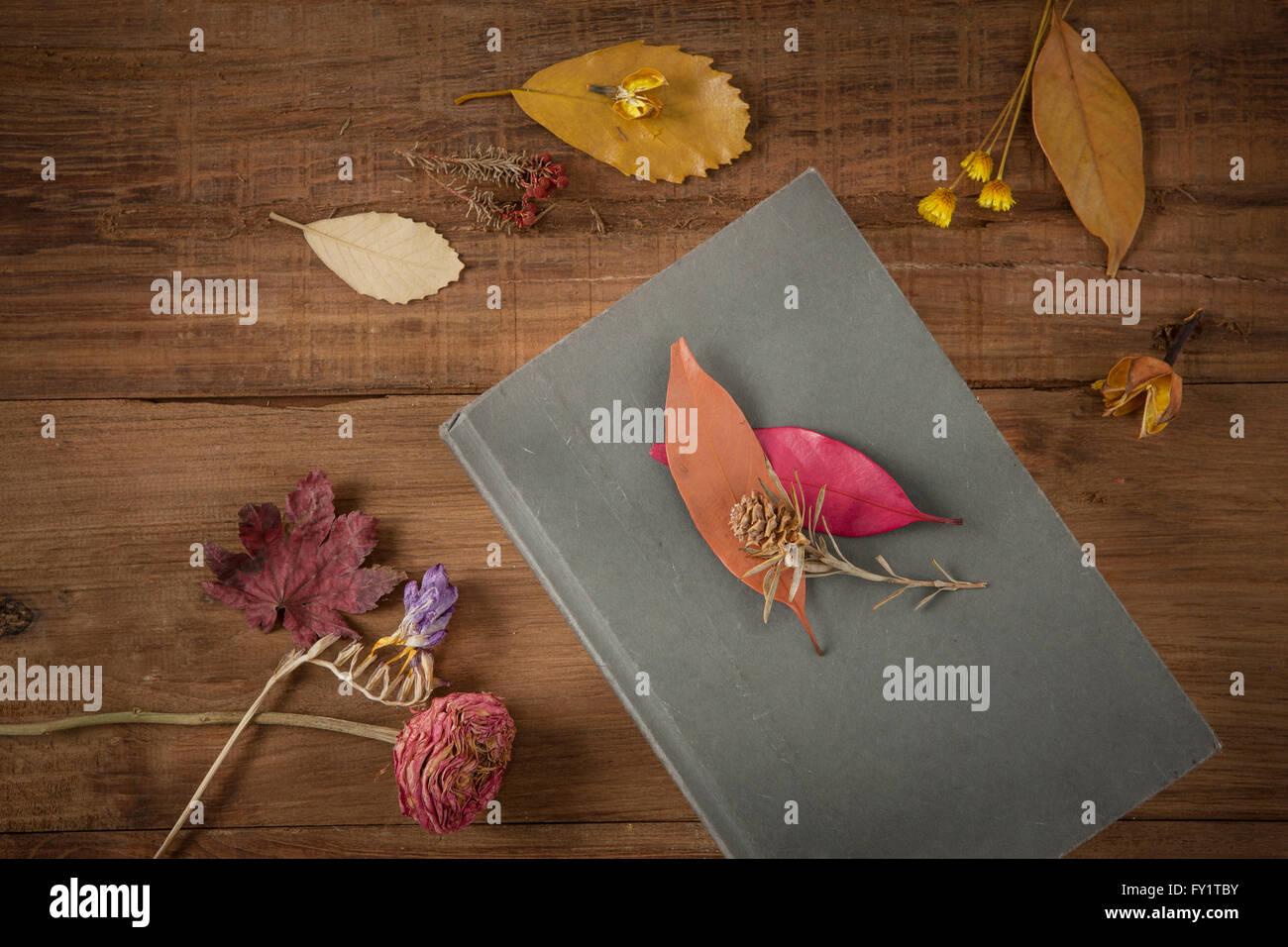 Background of autumn with book and fallen leaves Stock Photo - Alamy