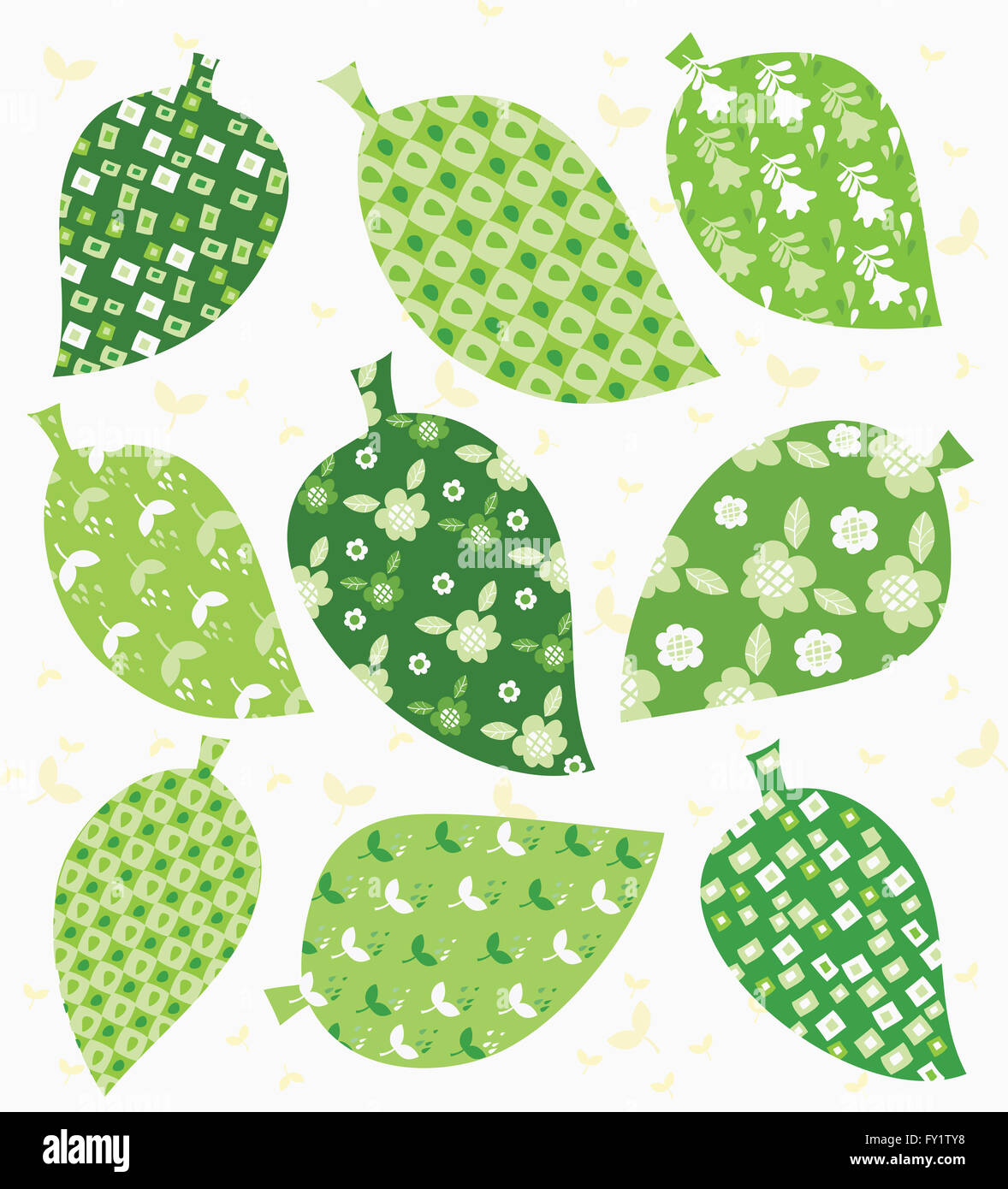 Various leaves with patterns in illustration Stock Photo - Alamy