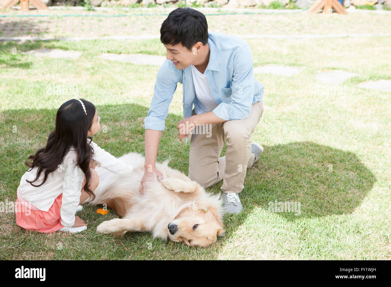 Jeju dog hi-res stock photography and images - Alamy