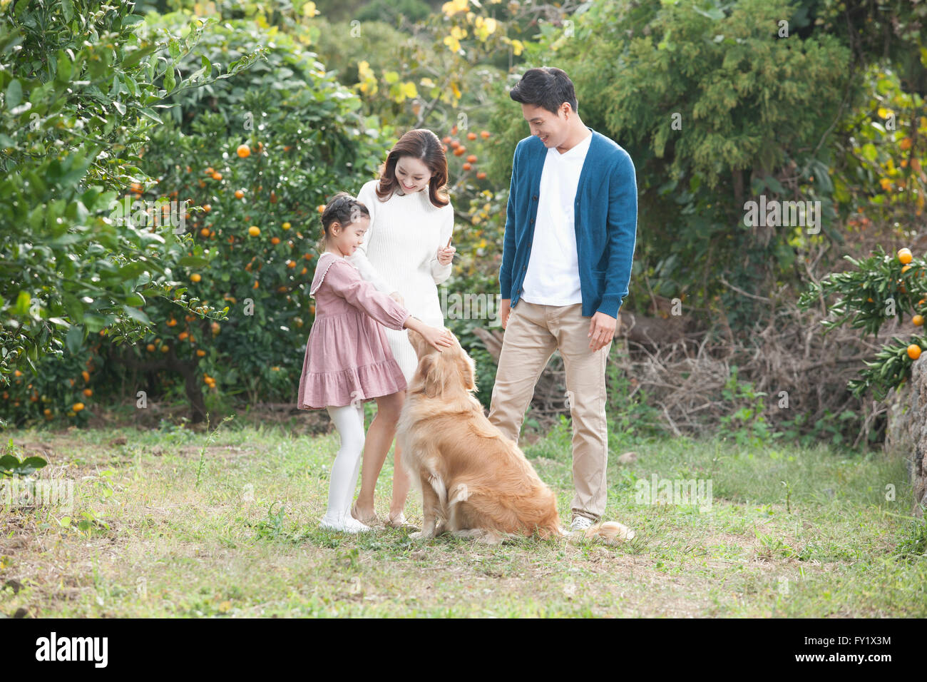 Girl dog having fun hi-res stock photography and images - Alamy