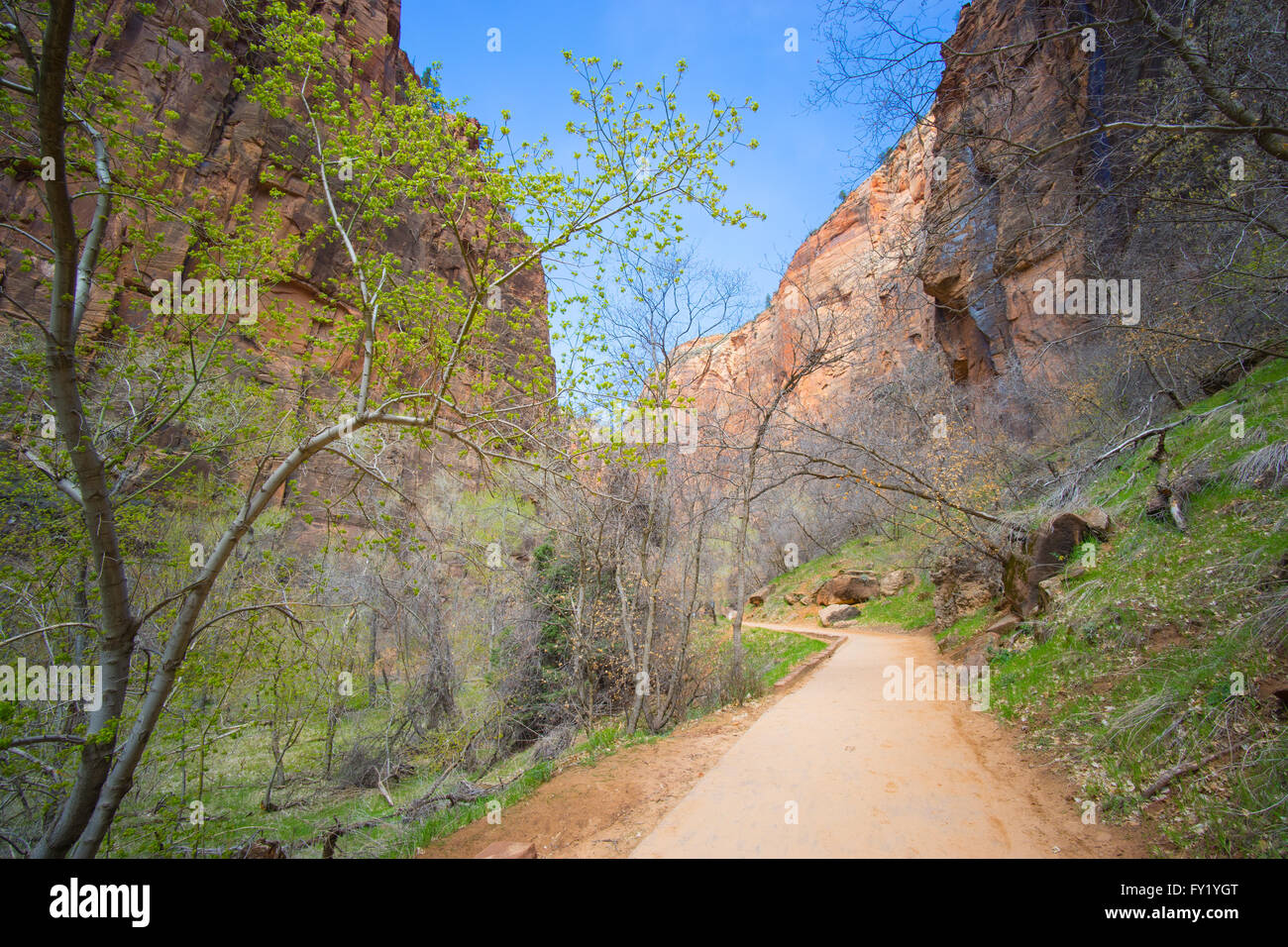 Sandy walking trail hi-res stock photography and images - Alamy