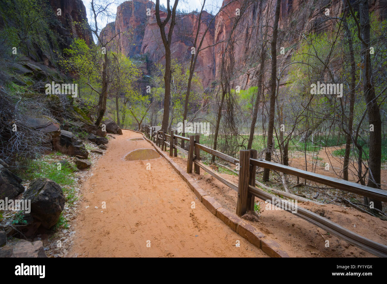 Footprints in the mud mark the trail to the Narrows in Utah's Zion ...