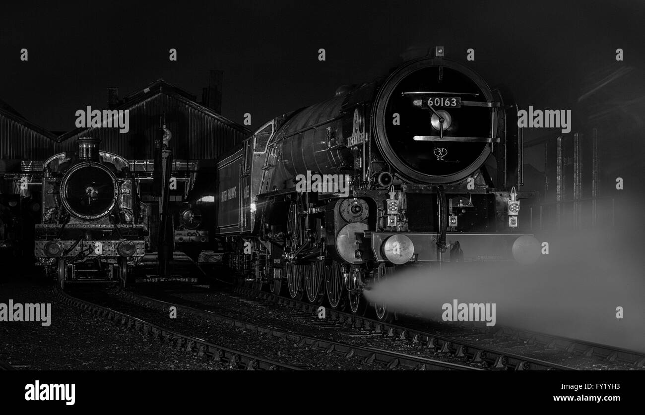 Tornado Steam Engine on tracks outside a shed at night in black and ...