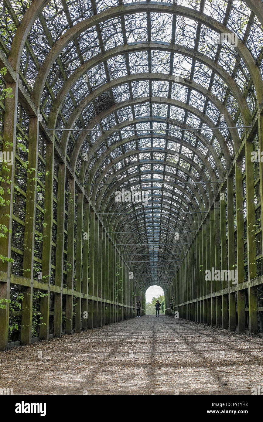 Arbor in the gardens at Hampton Court, London Stock Photo - Alamy