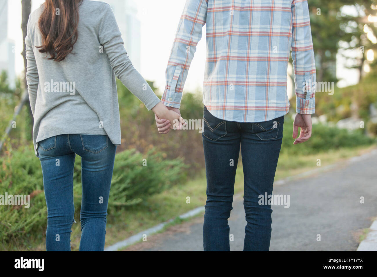 Back appearance of a couple walking hand in hand at park Stock Photo ...