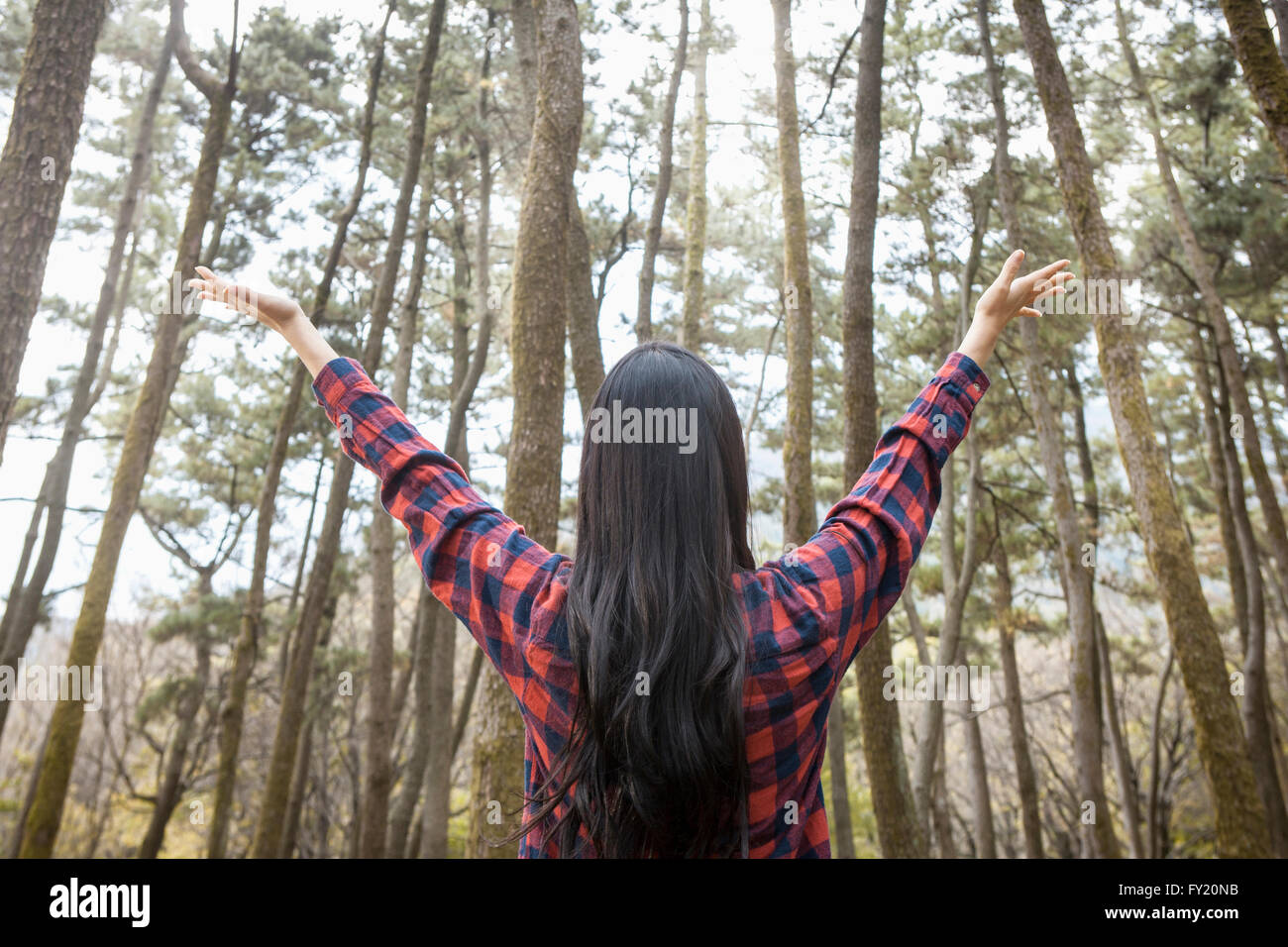 Back appearance of a woman stretching her arms high up in woods Stock ...