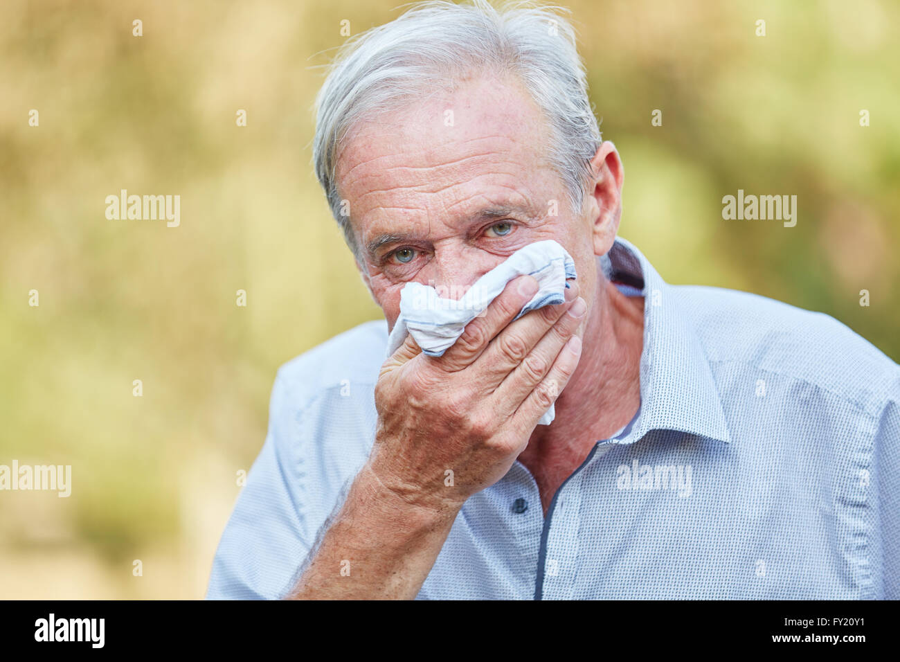 Senior man with hay fever using a tissue in the nature Stock Photo - Alamy