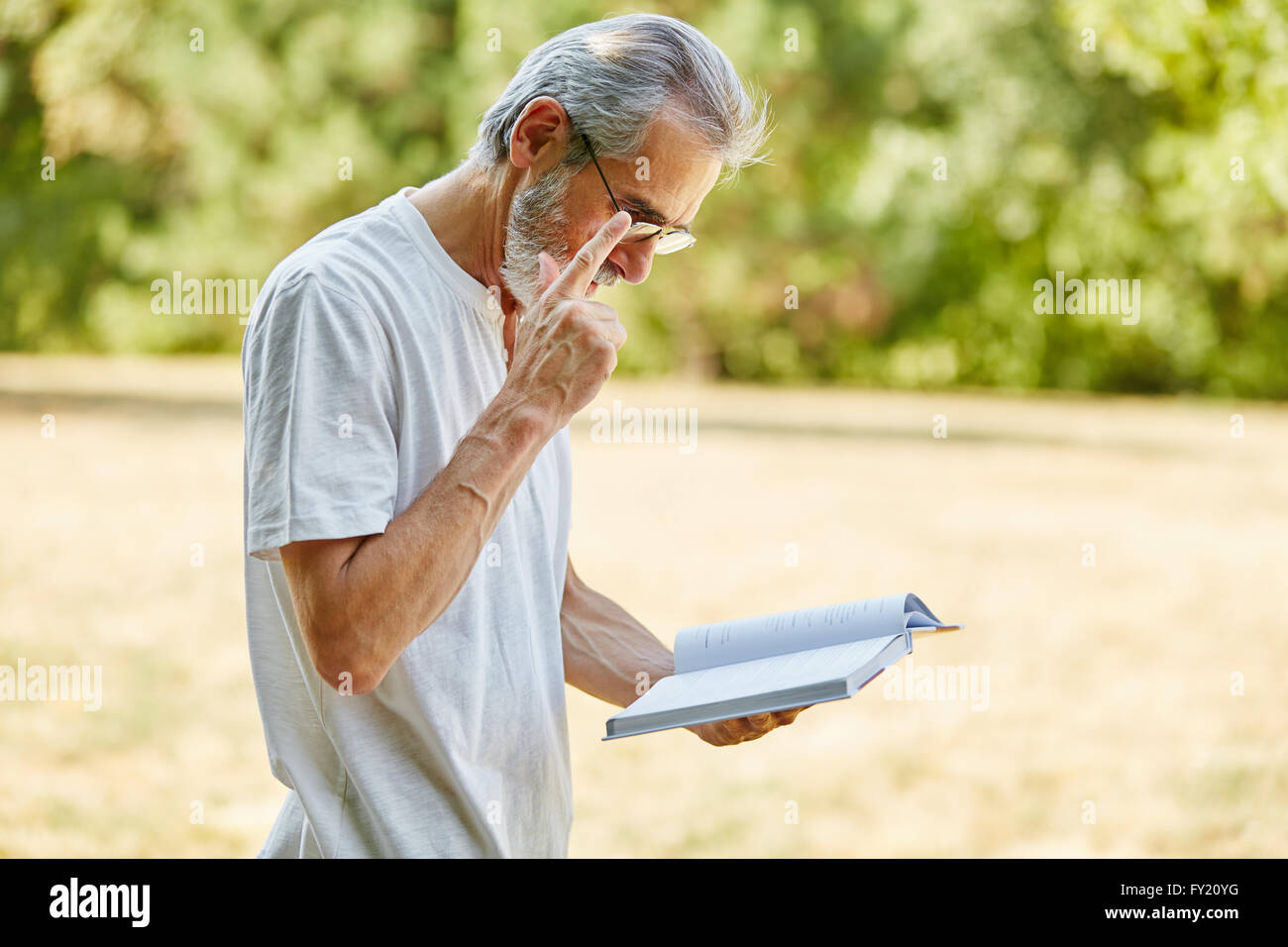 Old man concentrated reading a book in the park in summer Stock Photo ...
