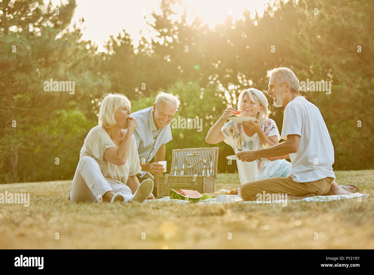 Group of seniors in the park in a picnic in summer having fun Stock ...