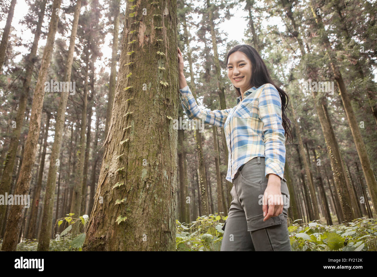 Low angle of a woman standing by a tree in woods Stock Photo - Alamy