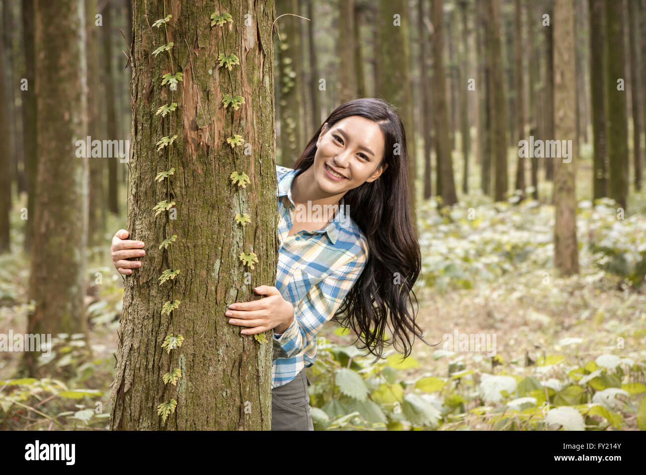 Woman staring forward with a smile behind a tree Stock Photo - Alamy