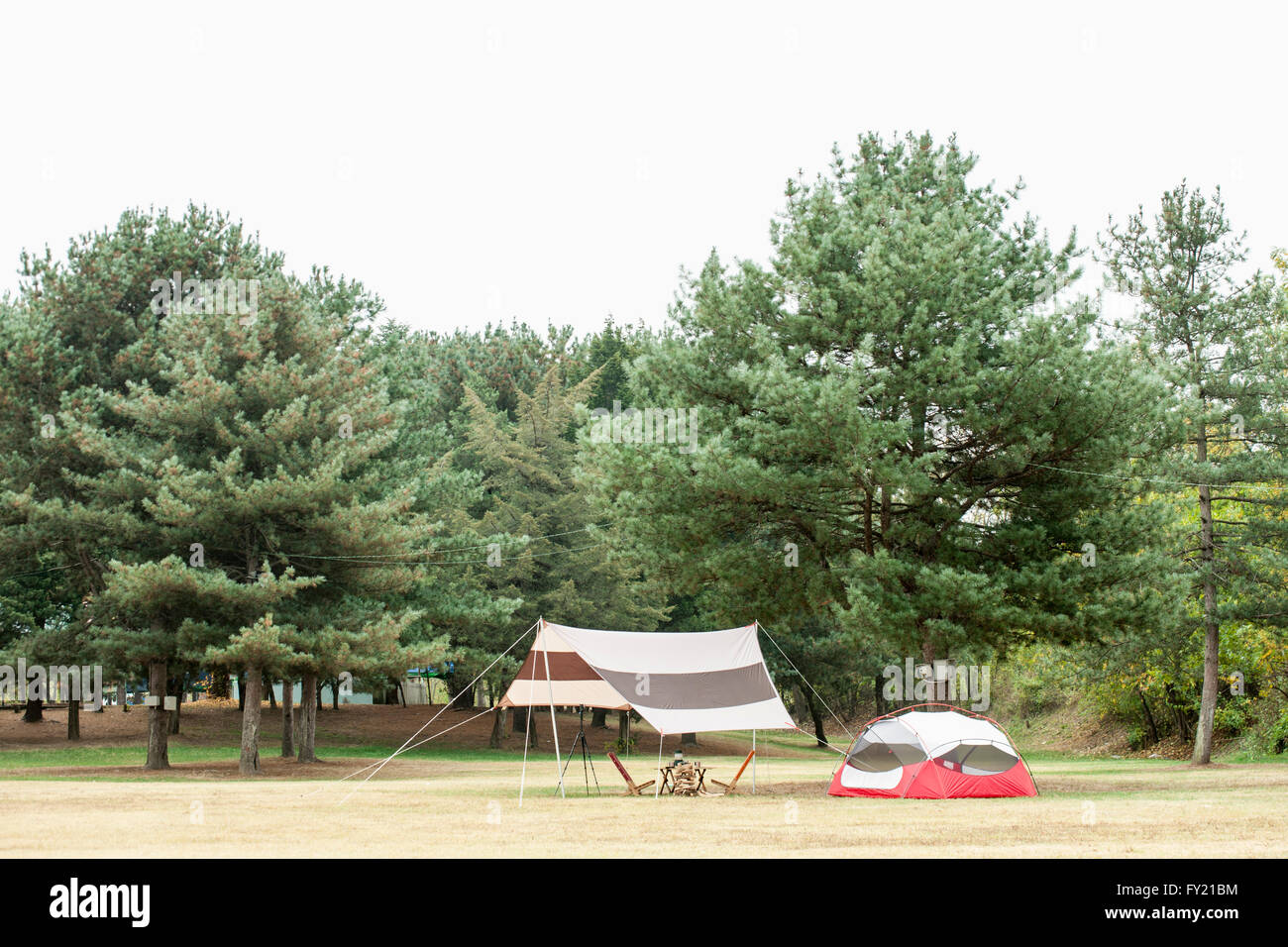 Campground tents hi-res stock photography and images - Alamy