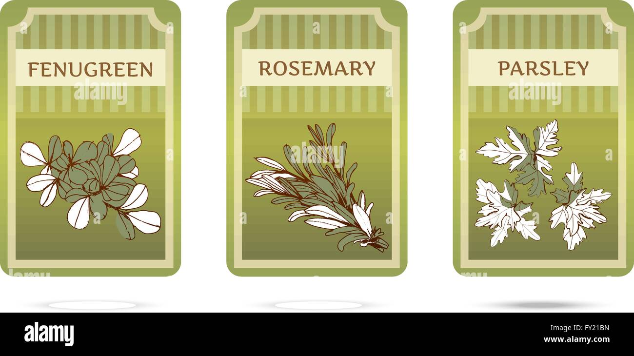 Collection of herbs labels Stock Vector Image & Art - Alamy Collection of herbs labels Stock Vector Image & Art - Alamy