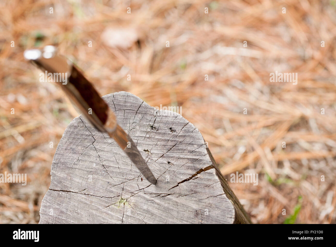 Craft knife stuck on a wood Stock Photo - Alamy