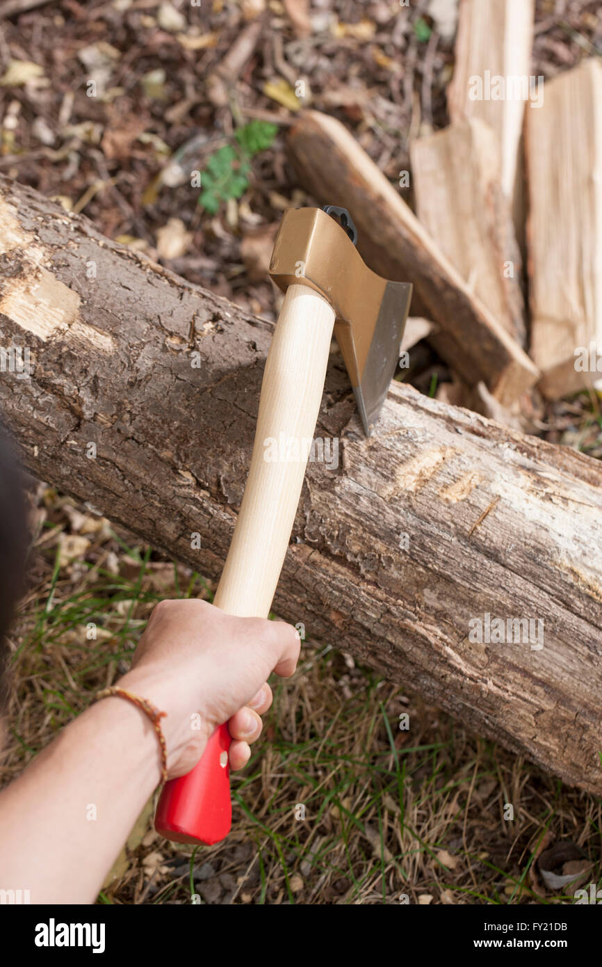 Hand holding ax hi-res stock photography and images - Alamy