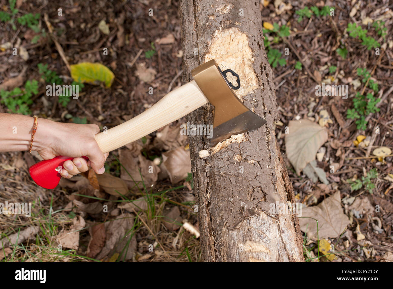 Hand holding an ax on a wood Stock Photo - Alamy