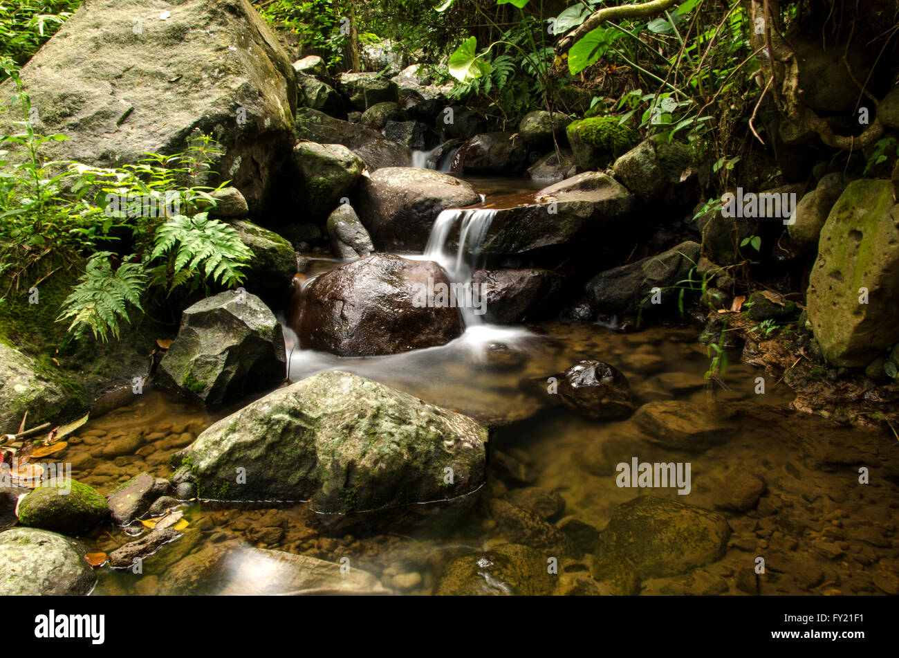 small rivers and clear water Stock Photo - Alamy
