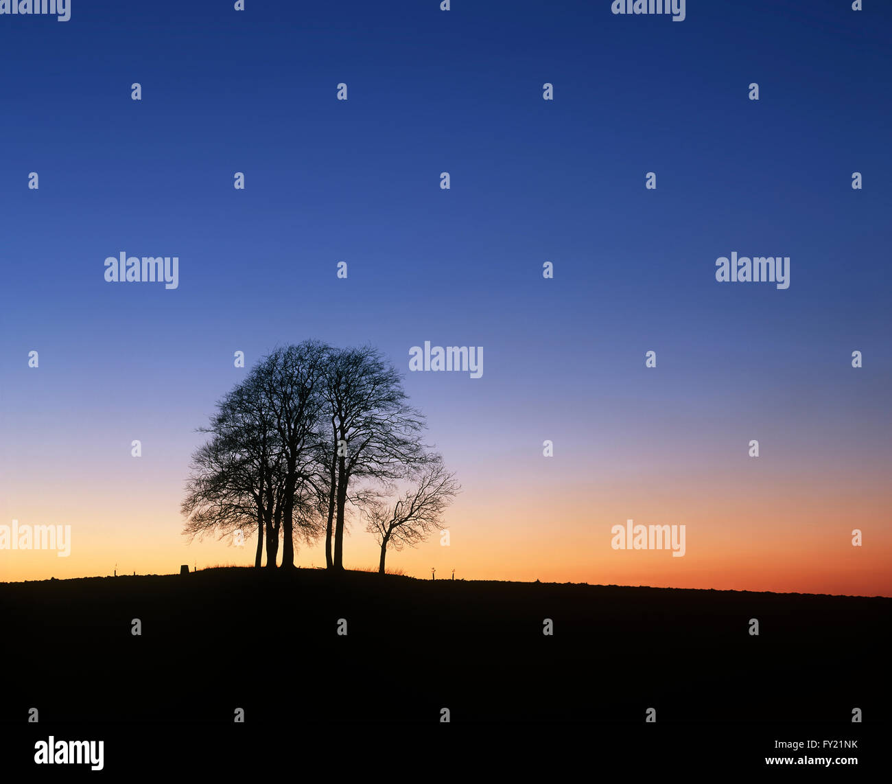 Trees and a trig point silhouetted on Brightwell Barrow, near ...